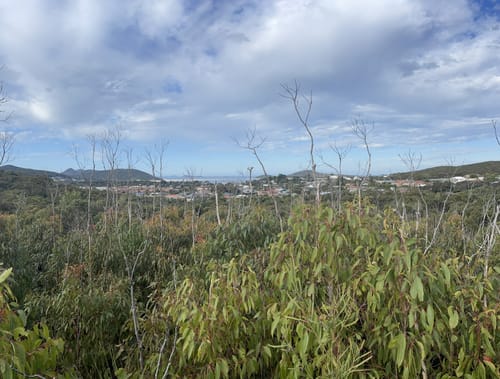 Best 10 Hikes and Trails in Tomaree National Park | AllTrails