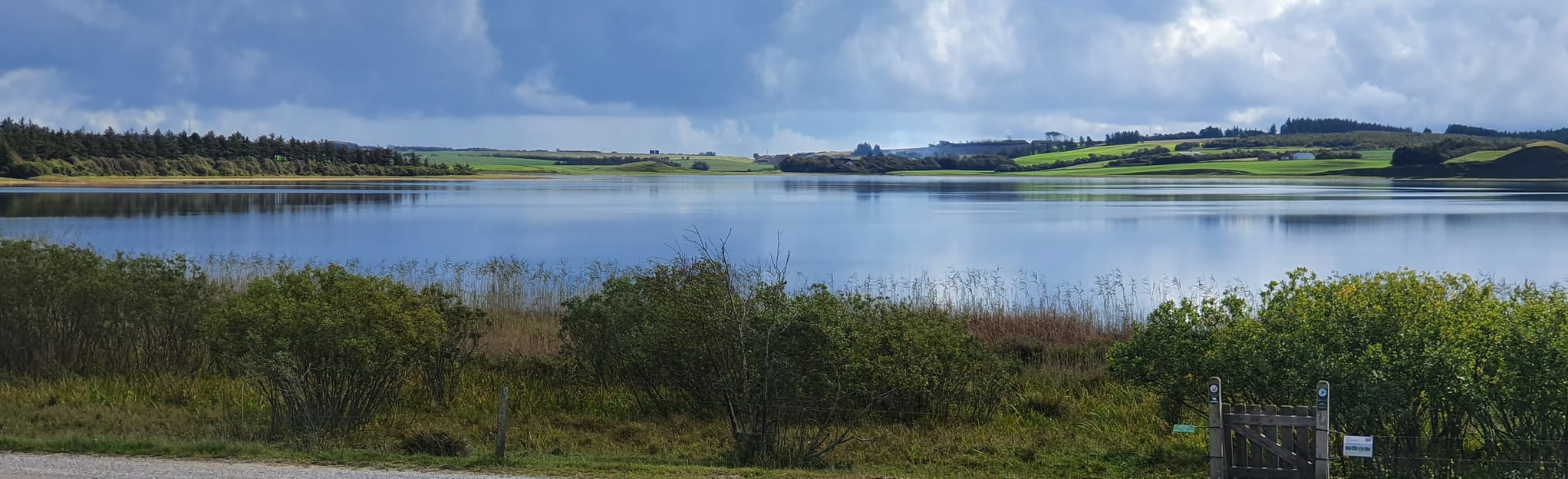 AllTrails | Nationalpark Thy: Tved Klitplantage og Isbjerget: 20 ...