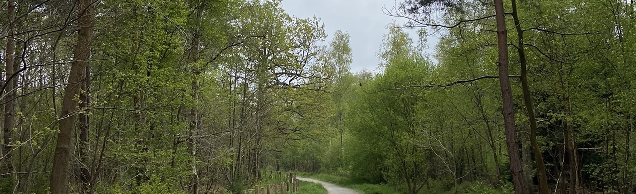 Thornden Woods and Blean Woods Circular - Kent, England | AllTrails