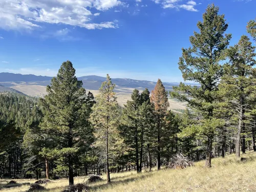 10 Best Hikes and Trails in Mount Helena City Park | AllTrails