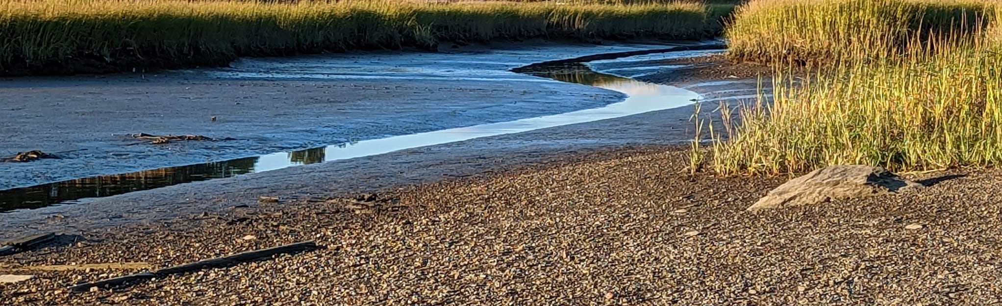 Quincy Shore: 173 Reviews, Map - Massachusetts | AllTrails