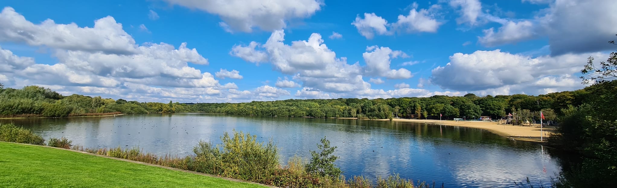 Six Woods Circular, Buckinghamshire, England - 157 Reviews, Map | AllTrails