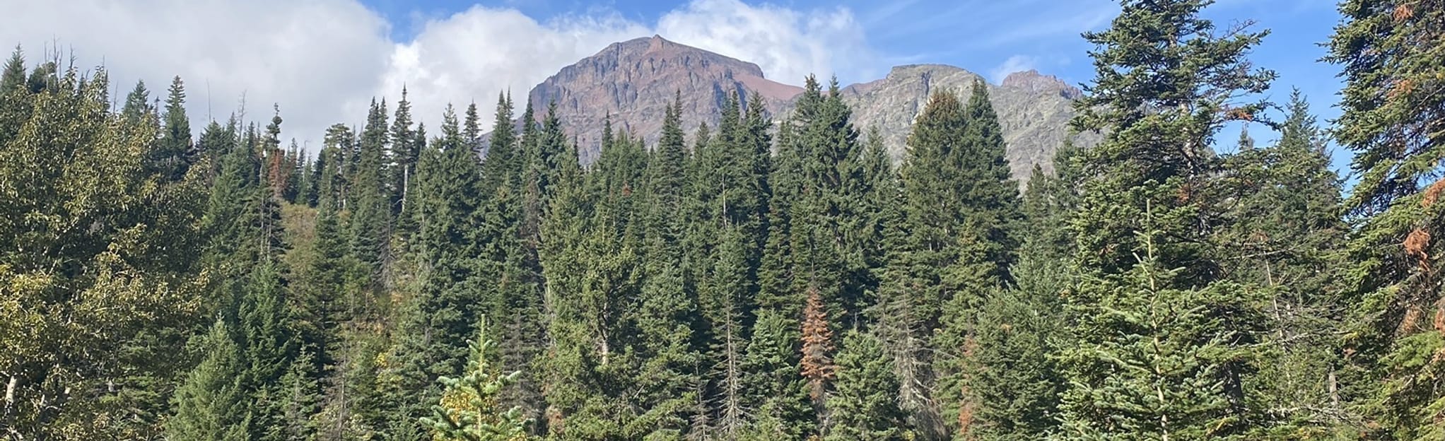 Running Eagle Falls: 625 Reviews, Map - Montana | AllTrails