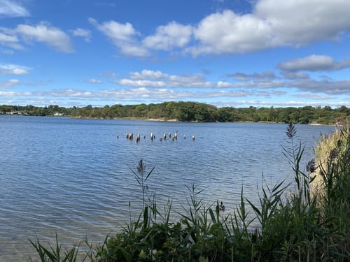 Best Hikes and Trails in Edith G. Read Wildlife Sanctuary | AllTrails