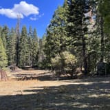 Chicago Stump Trail, California - 73 Reviews, Map | AllTrails