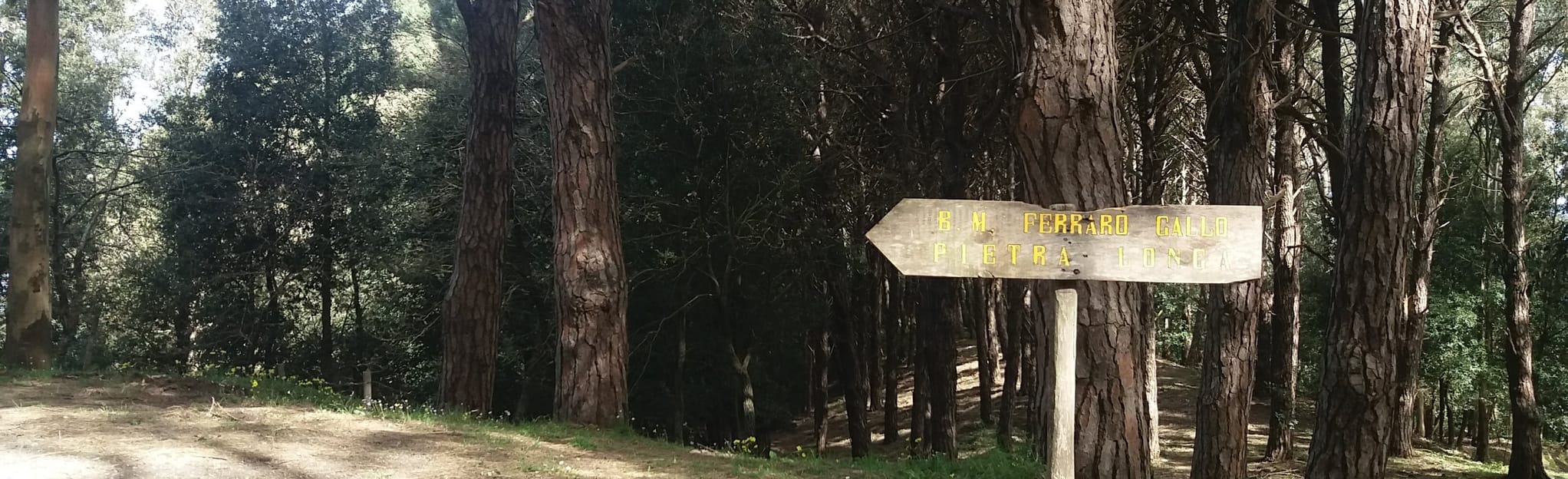 AllTrails | Colle San Rizzo - Rifugio Ferraro: 3 Reviews, Map - Sicily ...