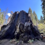 Chicago Stump Trail, California - 73 Reviews, Map | AllTrails