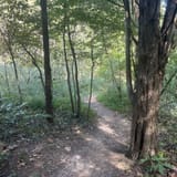 Saunders Springs Nature Preserve Loop, Kentucky - 377 Reviews, Map ...