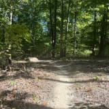 Saunders Springs Nature Preserve Loop, Kentucky - 377 Reviews, Map ...