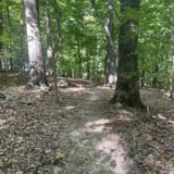 Saunders Springs Nature Preserve Loop, Kentucky - 377 Reviews, Map ...