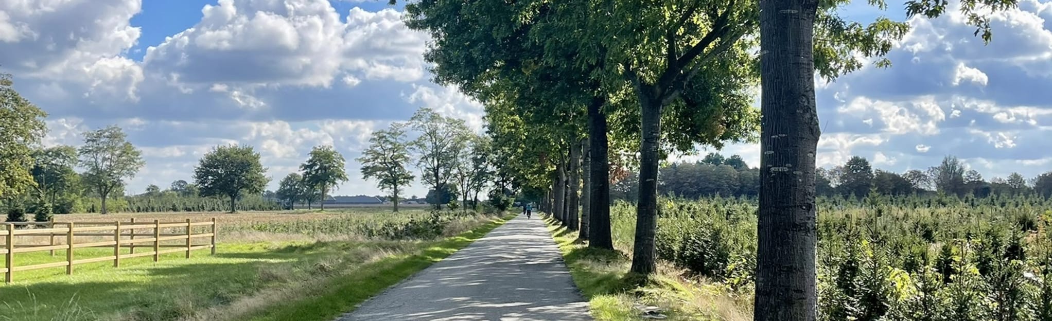 Retie - Gierle, Antwerp, Belgium - 3 Reviews, Map | AllTrails