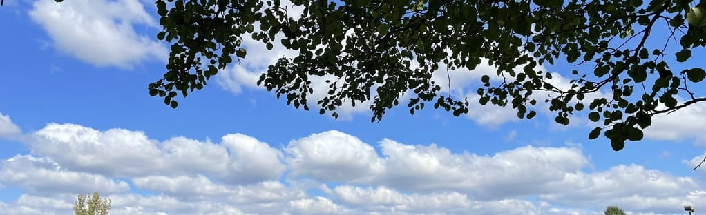 Hướng dẫn Revit elevation background sky và sử dụng trong thiết kế kiến ...