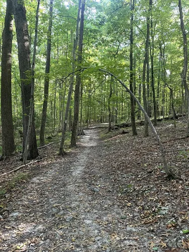 Best Hikes and Trails in Great Valley Nature Center | AllTrails