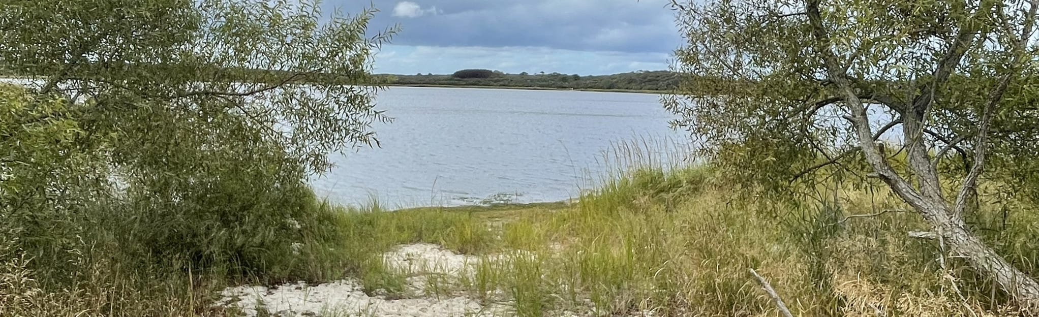 Bog Loop | Map, Guide - Massachusetts | AllTrails