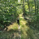 Nebo Ridge Trail, Indiana - 196 Reviews, Map | AllTrails