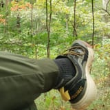 Nebo Ridge Trail, Indiana - 196 Reviews, Map | AllTrails