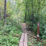 Hawk Ridge Bird Observatory Loop, Minnesota - 263 Reviews, Map | AllTrails
