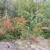 Hawk Ridge Bird Observatory Loop, Minnesota - 263 Reviews, Map | AllTrails