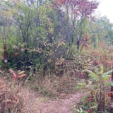 Hawk Ridge Bird Observatory Loop, Minnesota - 263 Reviews, Map | AllTrails