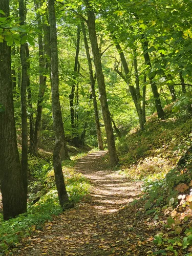 Best Hikes and Trails in Ambrose A. Call State Park | AllTrails