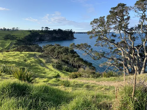 10 Best Trails and Hikes in Auckland | AllTrails