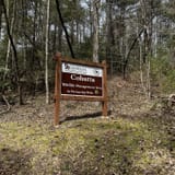 Conasauga River Trail, Georgia - 123 Reviews, Map | AllTrails