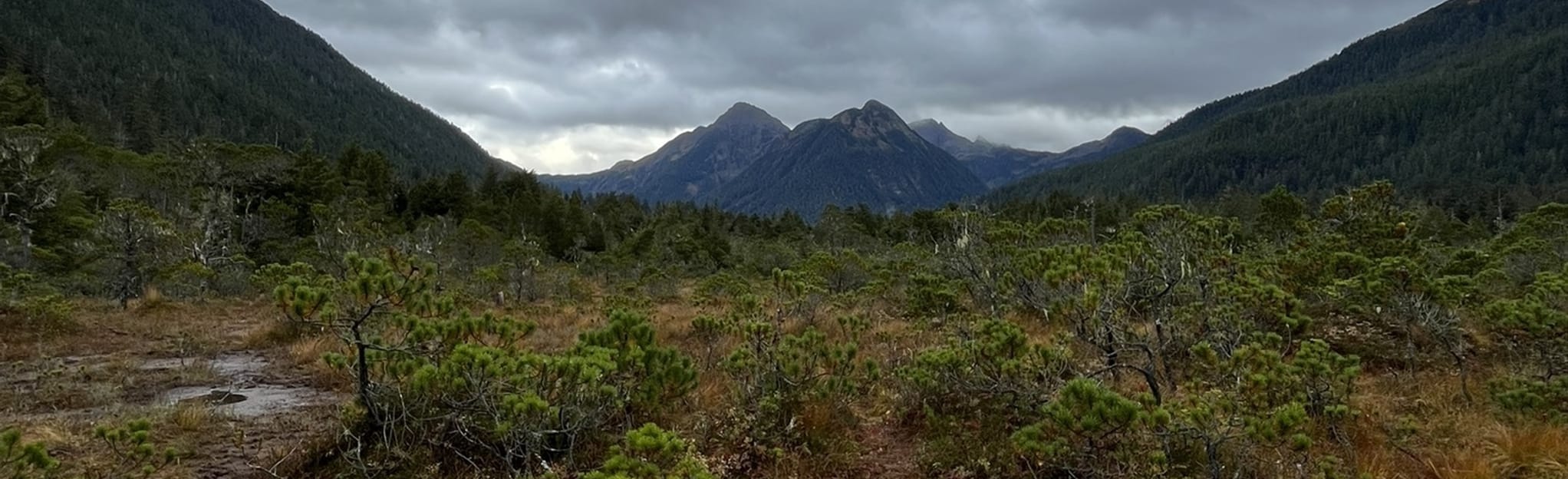 Sitka Cross Trail: 29 Reviews, Map - Alaska | AllTrails