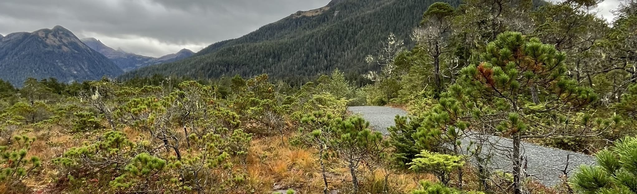 Indian River, Gavan Harbor, High Cross and Sitka Cross Trail: 67 Fotos ...