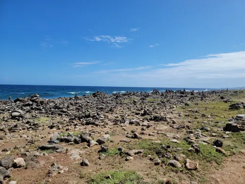 10 Best Trails and Hikes in Aruba | AllTrails