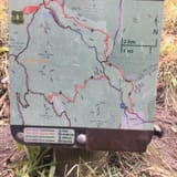 Schofield Pass OHV Trail, Colorado - 61 Reviews, Map | AllTrails