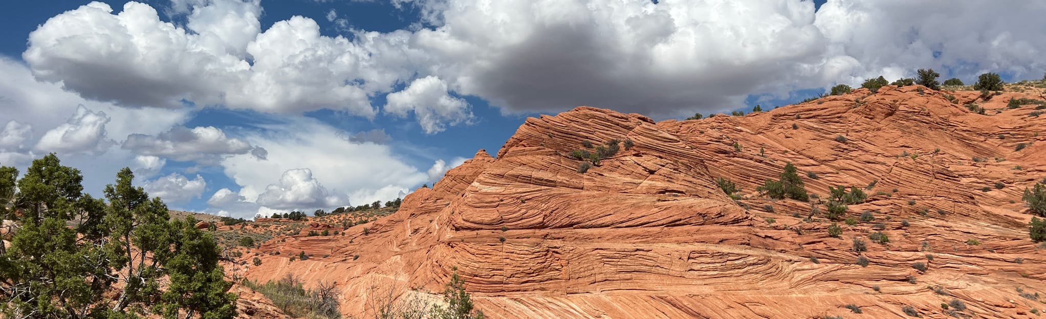 Wire Pass Trail to White House Trailhead: 100 Reviews, Map - Utah ...