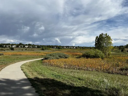 Best Hikes and Trails in Willow Springs Open Space | AllTrails