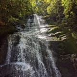 Red Fork Falls Trail, Tennessee - 242 Reviews, Map | AllTrails