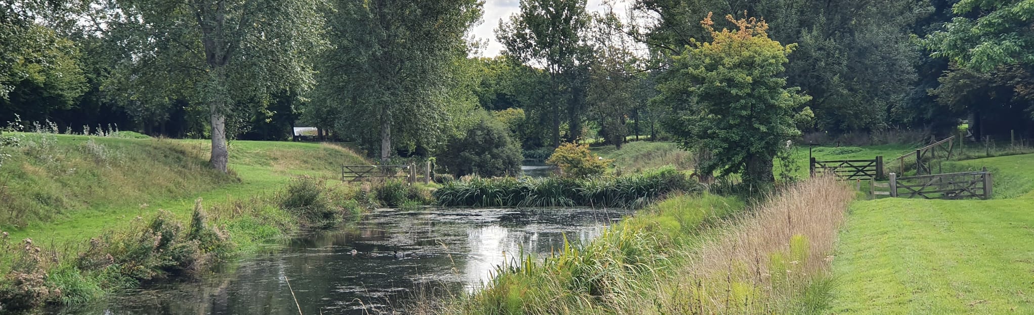 Nutbourne Circular, West Sussex, England - 18 Reviews, Map | AllTrails