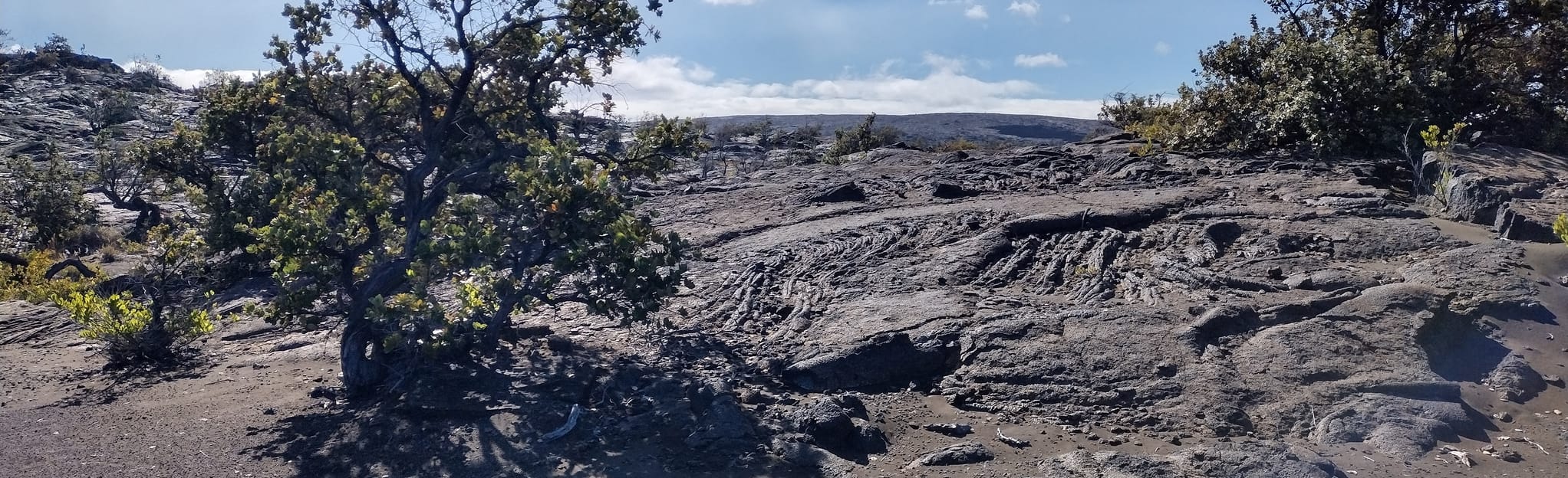 Kau Desert Footprints Trail, Hawaii, Hawaii - 132 Reviews, Map | AllTrails