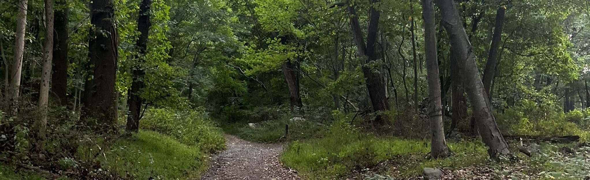 AllTrails | Boyce Thompson, Lower Otter and Thruway Trail: 301 Reviews ...