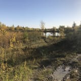 Blueberry Rock, Manitoba, Canada - 245 Reviews, Map | AllTrails
