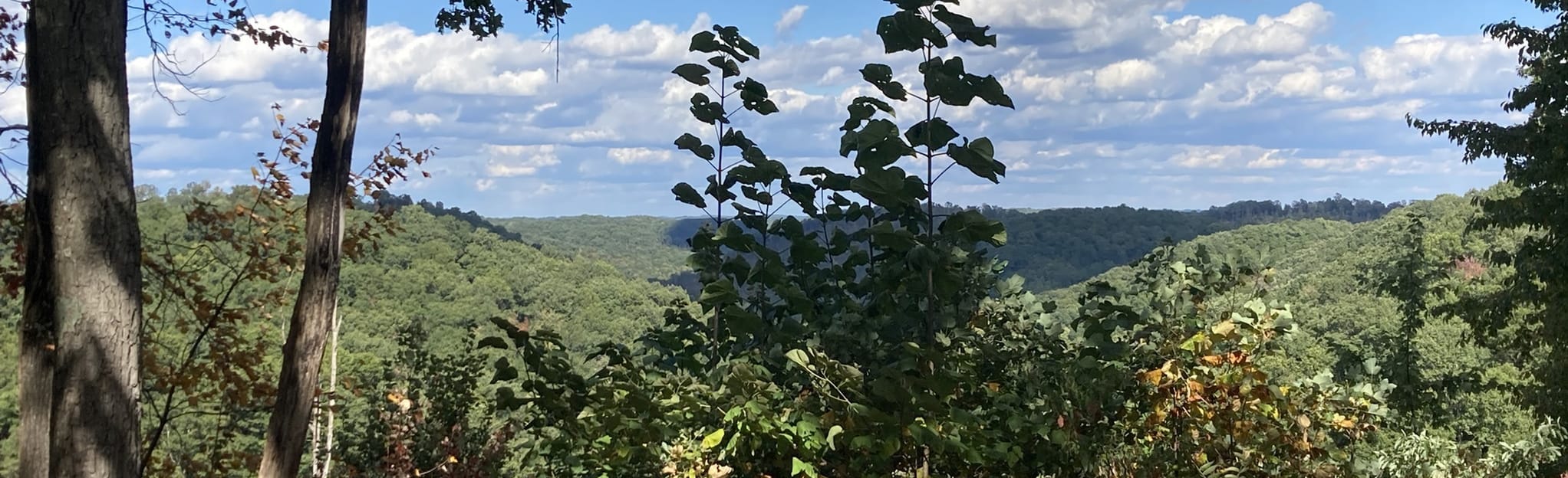 Shawnee State Park North and South Backpacking Loops: 21 Reviews, Map ...