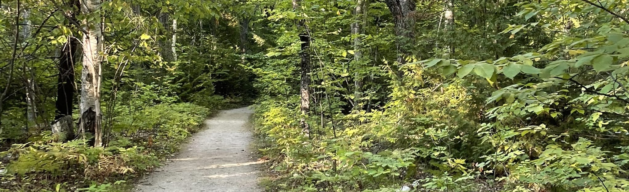 Ellison Bluff Loop, Wisconsin - 330 Reviews, Map | AllTrails