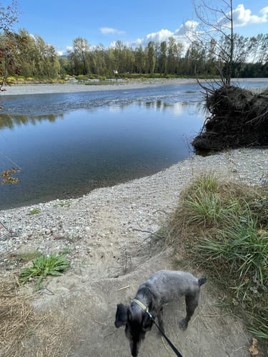 Best Hikes and Trails in Al Borlin Park | AllTrails