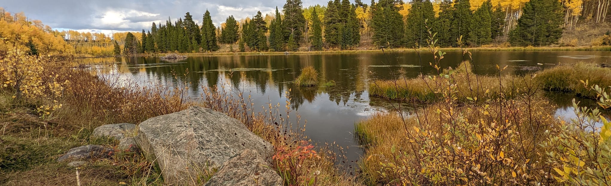 South Mount Elbert Trail: 1,361 Reviews, Map - Colorado | AllTrails