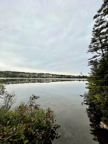 Best Hikes and Trails in Newfoundland T'Railway Provincial Park | AllTrails