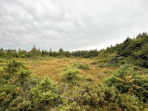 Best Hikes and Trails in Newfoundland T'Railway Provincial Park | AllTrails