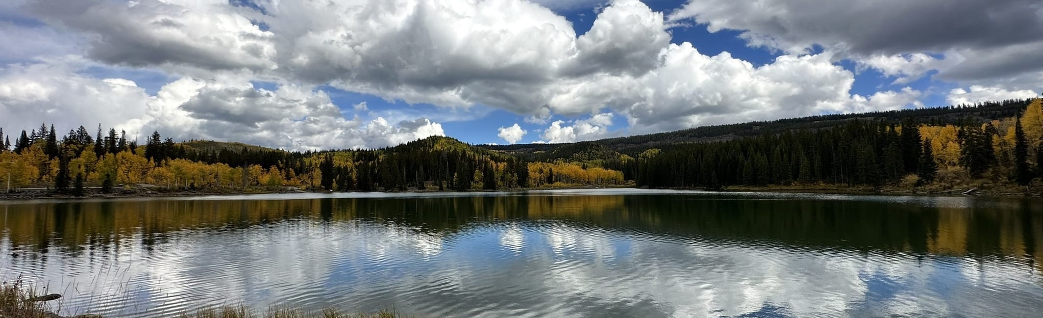 West Bench Trail, Colorado - 114 Reviews, Map | AllTrails