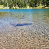 Shadow Lake Trail, Washington - 304 Reviews, Map | AllTrails