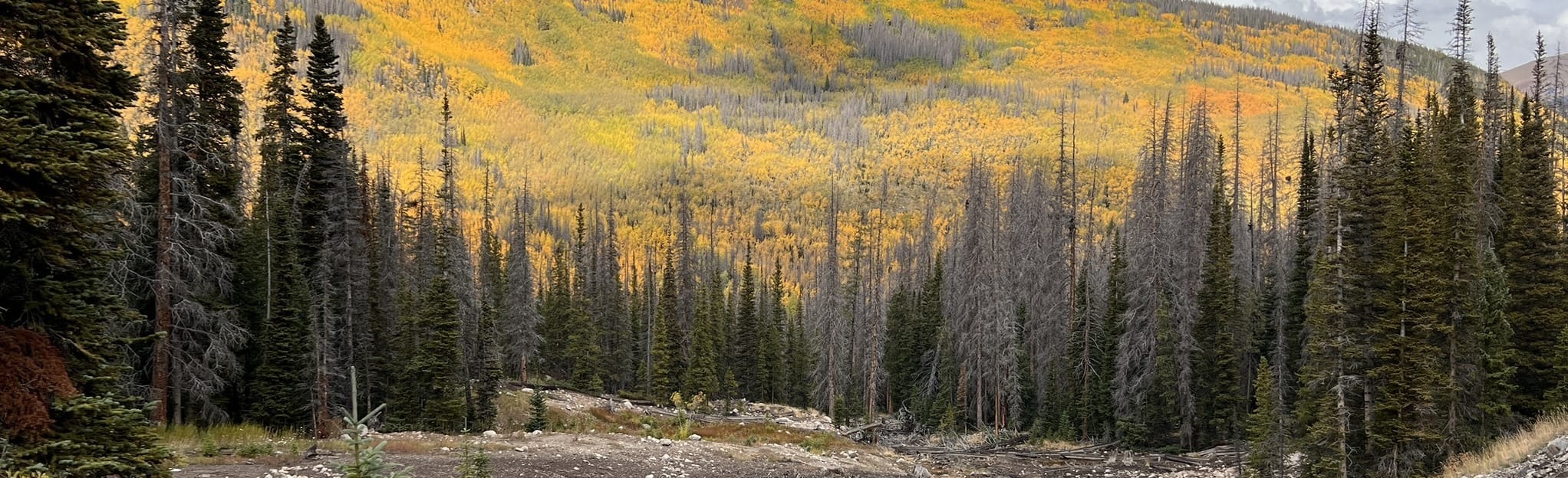 Hancock Pass and Alpine Tunnel OHV Trail, Colorado - 30 Reviews, Map ...