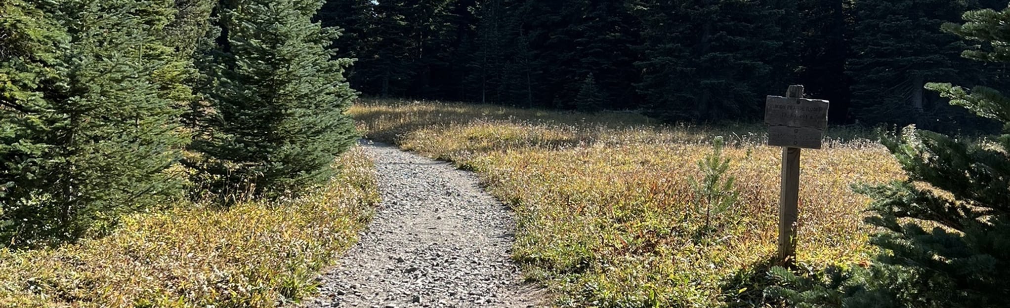 Knebal Springs Trail, Cooks Meadow Trail, and Lookout Mountain Loop: 4 ...