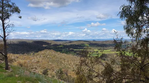 10 Best Hikes and Trails in Warby-Ovens National Park | AllTrails