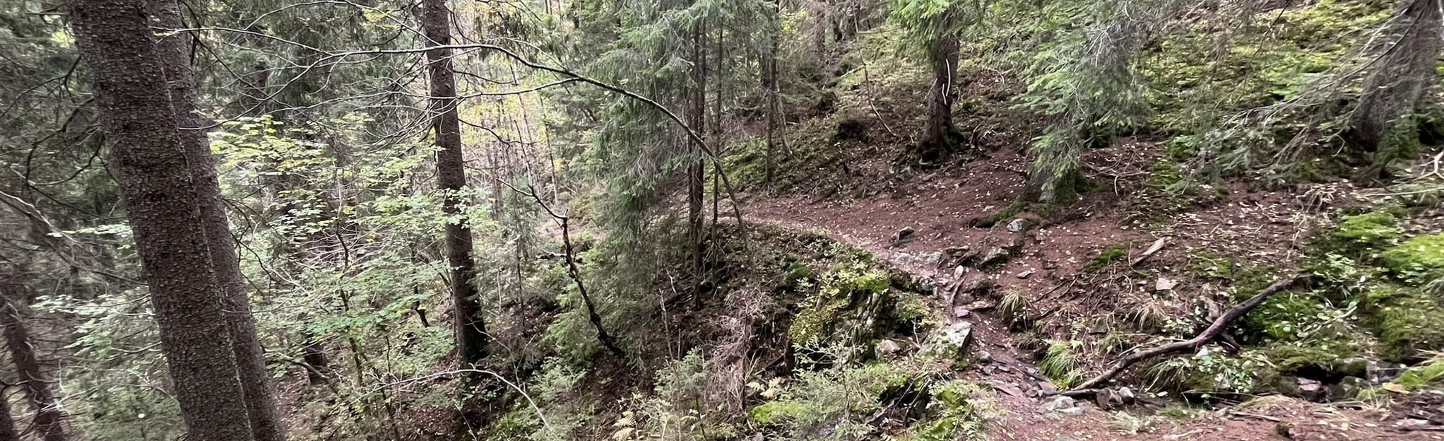 Snippen - Tomtehytta (OSL18) : 9 Photos - Oslo, Norvège | Randonnée ...