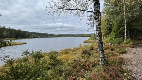 Best Hikes and Trails in Mørkgonga Nature Reserve | AllTrails